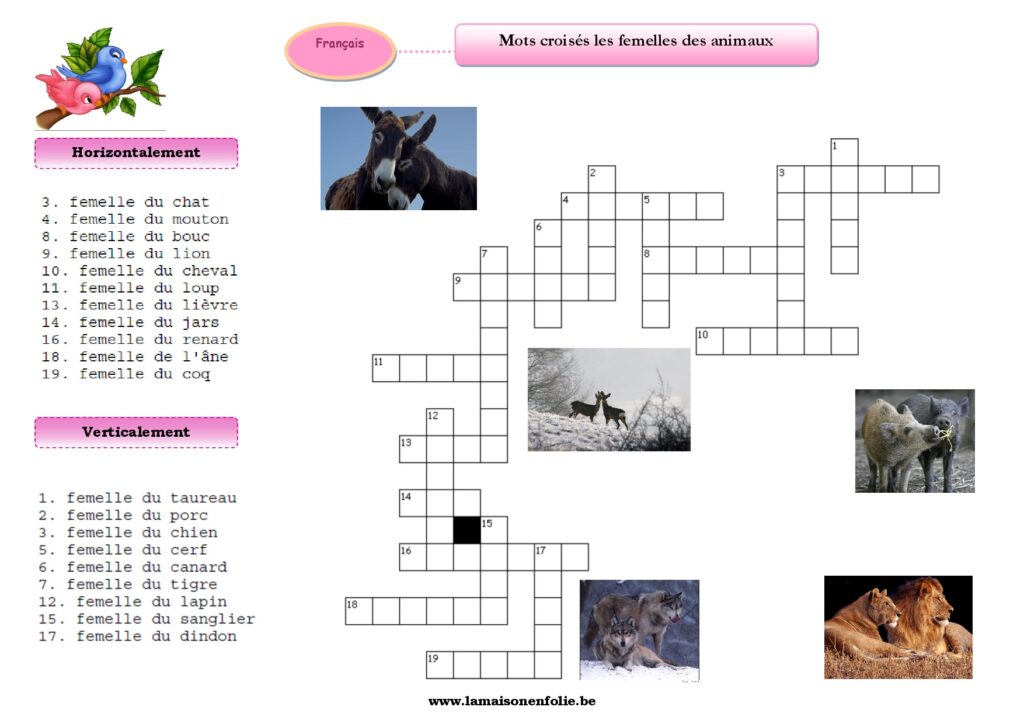 Mots croisés: les femelles des animaux - La maison en folie